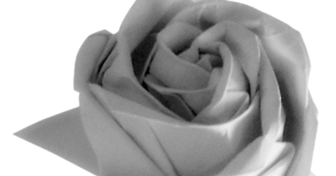 Sa Bawat Puting Rosas