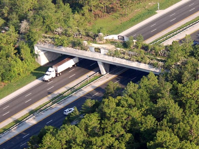 " Welcome to Lavender Dreams ": "The I-75 Land Bridge"