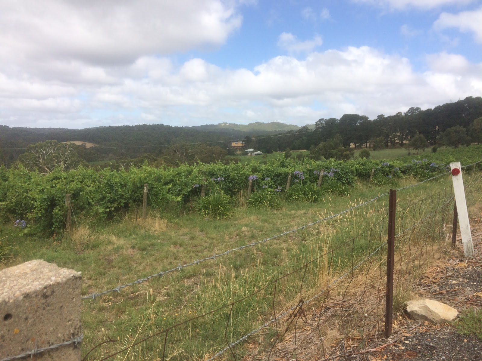 Mountains of Adelaide: Norton Summit from Morialta