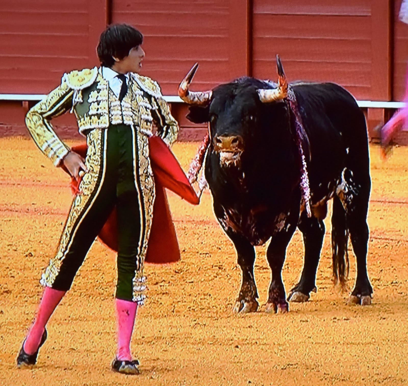 El Paseillo: TENDIDO CERO