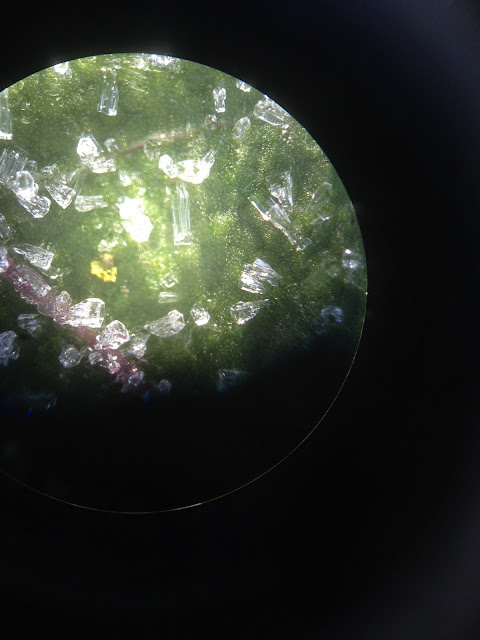 Line Upon Line: Frost Under the Microscope