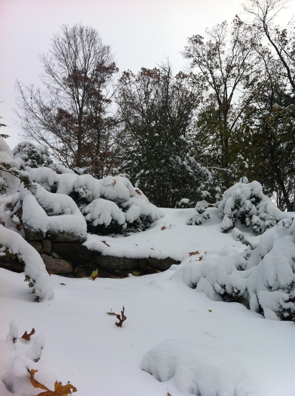 skyfall – PVE Design