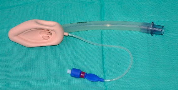 EM Girl: How to insert an LMA