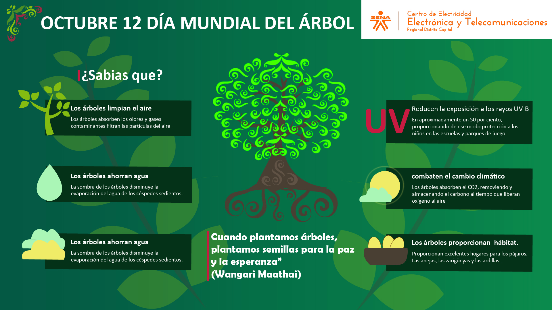 CEET: Octubre 12: Día Mundial del Árbol