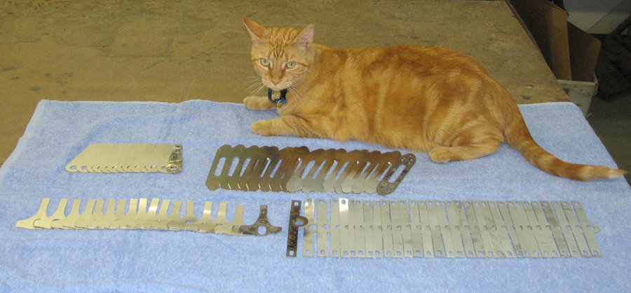 XP-82 Twin Mustang Project: June Newsletter