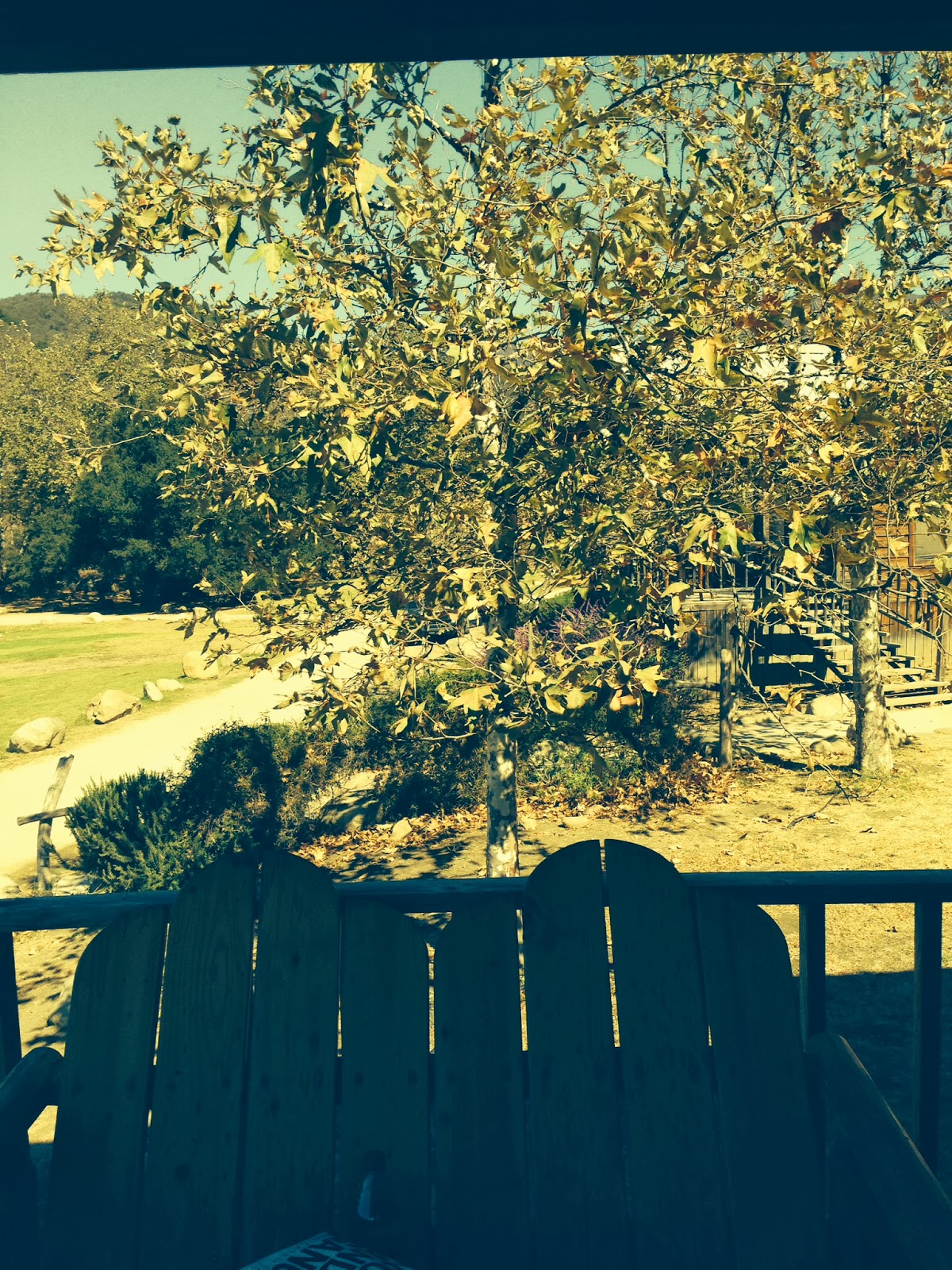 A Bloomsbury Life: You Know It's Fall When...