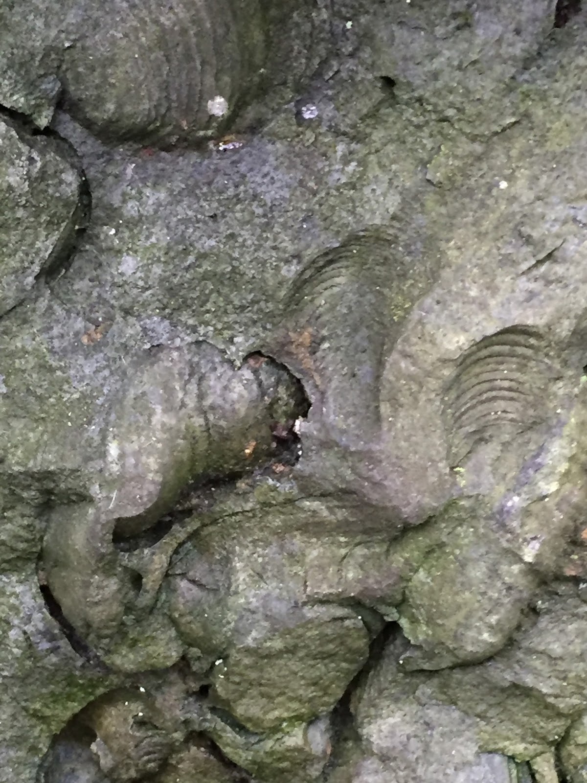 Boren Park, ENVIR 280 Journal: Erratic In Seattle - Seattle Erratic ...