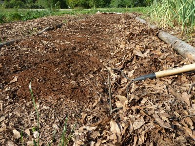 5 Acres & A Dream: Garden 2012: Work Smarter, Not Harder