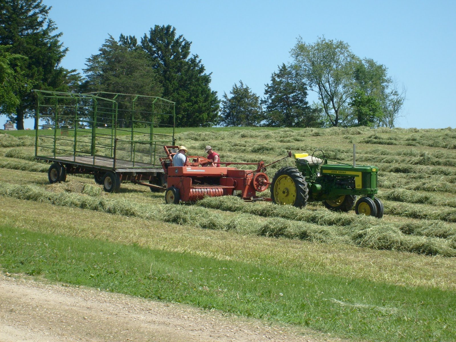 OK Acres Shetlands: Hay day