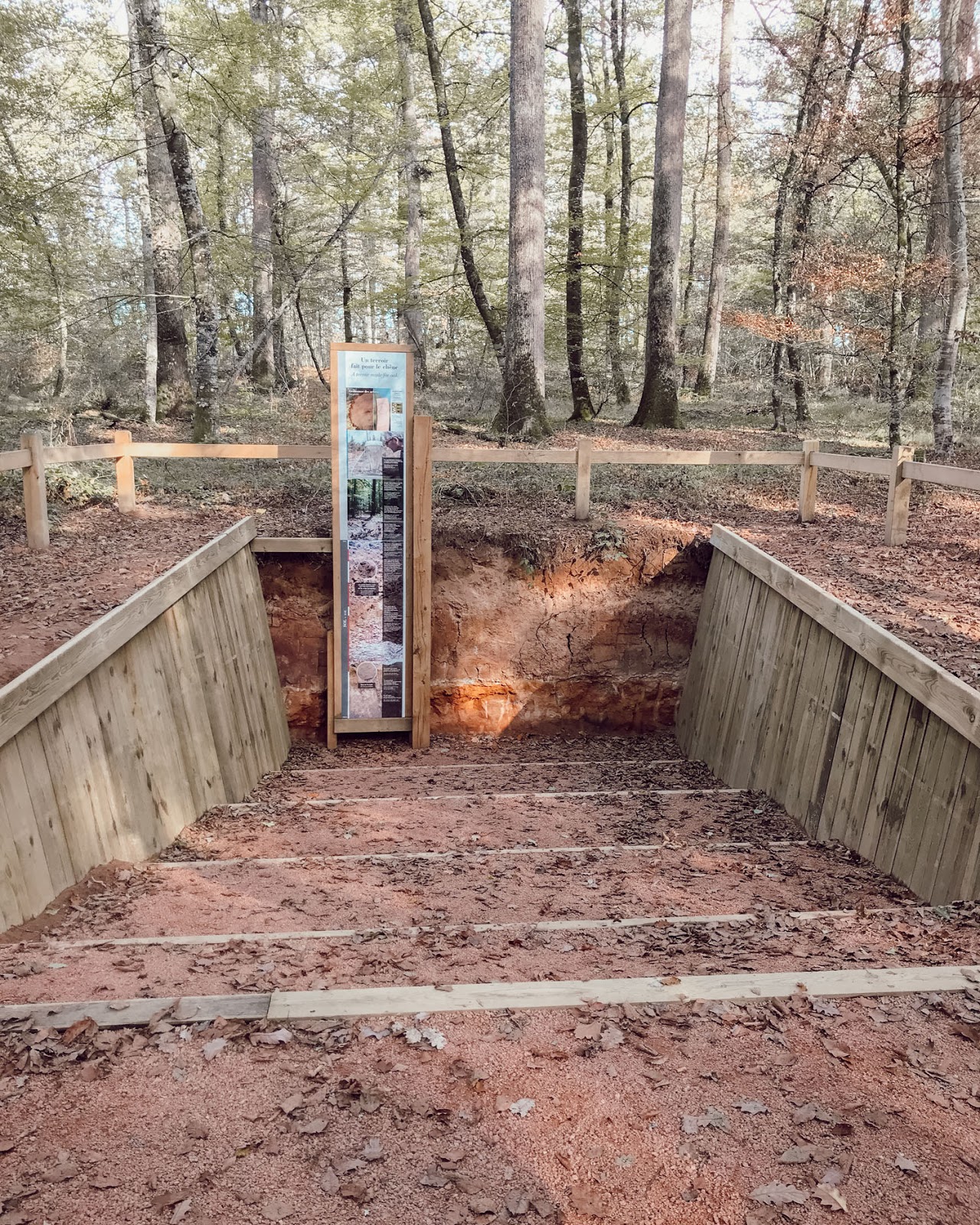 Sentier pédagogique pour découvrir la Futaie Colbert II en Forêt de ...