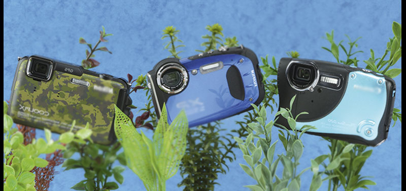 Capture Your Beach Vacation Memories with These Underwater Cameras ...