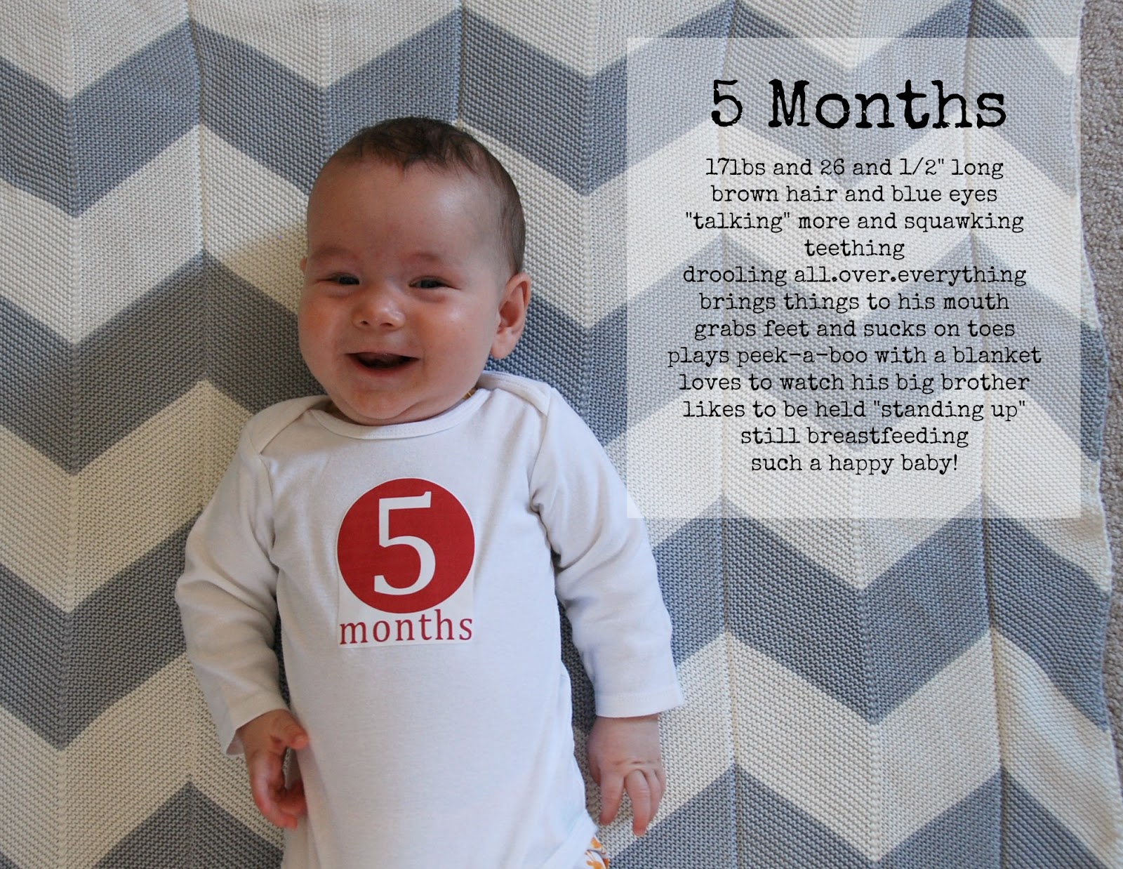 the little hedgehog: 5 Months Old!