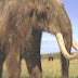 Woolly Mammoth - Wooly Mammoth Diet