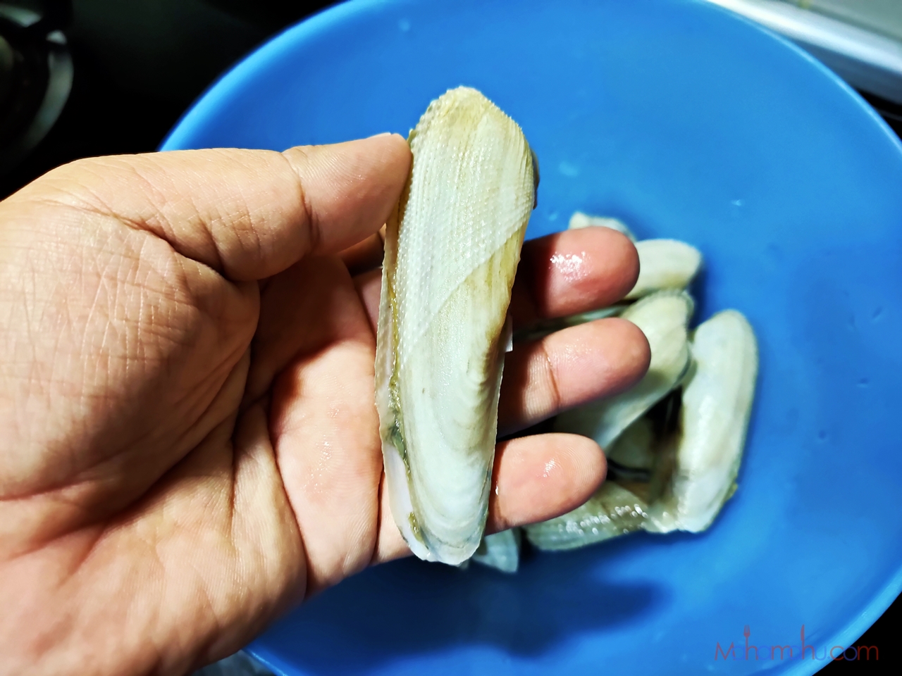 Makanan Eksotik Mentarang Sedap Dimasak Sambal | Blog Makan Mahamahu