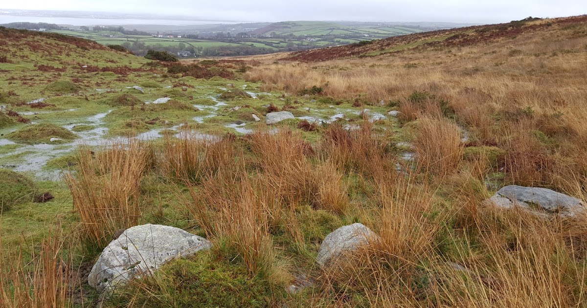 South Wales Bryophytes: another little look at Cefn Bryn