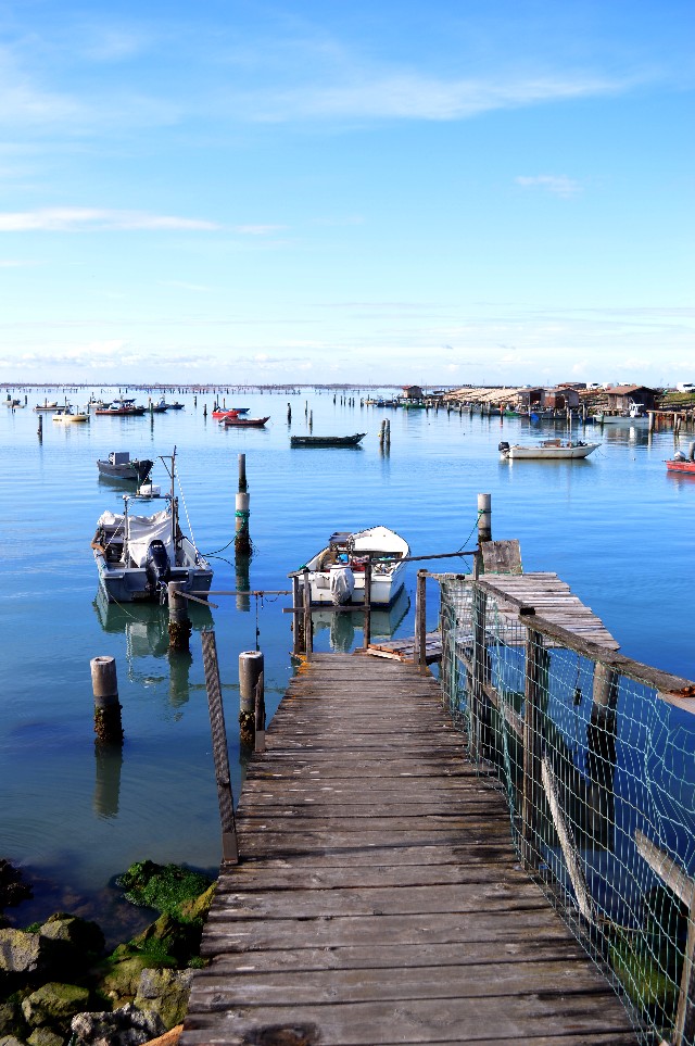 Un itinerario alla scoperta del Delta del Po: ecco cosa vedere ...