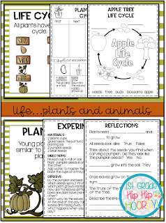 1st Grade Hip Hip Hooray!: NGSS... Life Science...Exploring Plants and ...