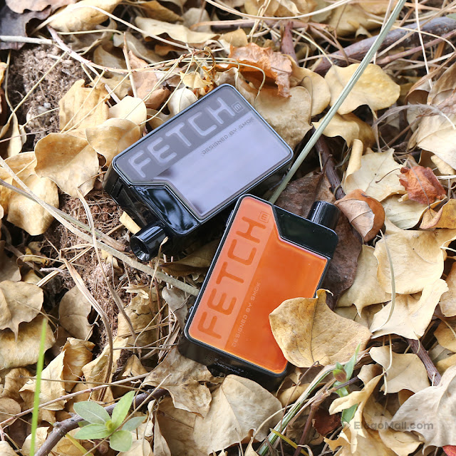 SMOK Fetch Mini Review—Stunning, Inside and Out