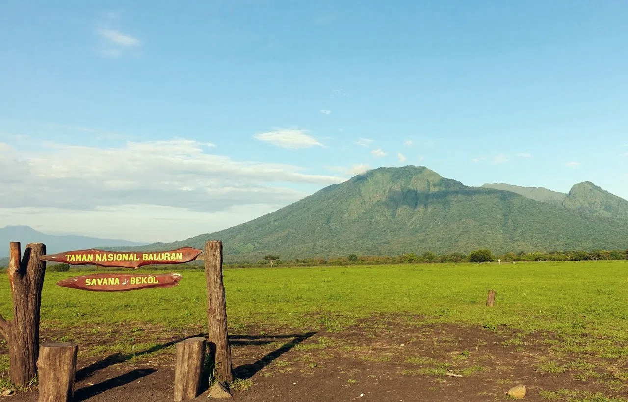 The Beauty Landscape of Indonesia: Baluran National Park