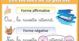 La phrase affirmative,et la phrase négative