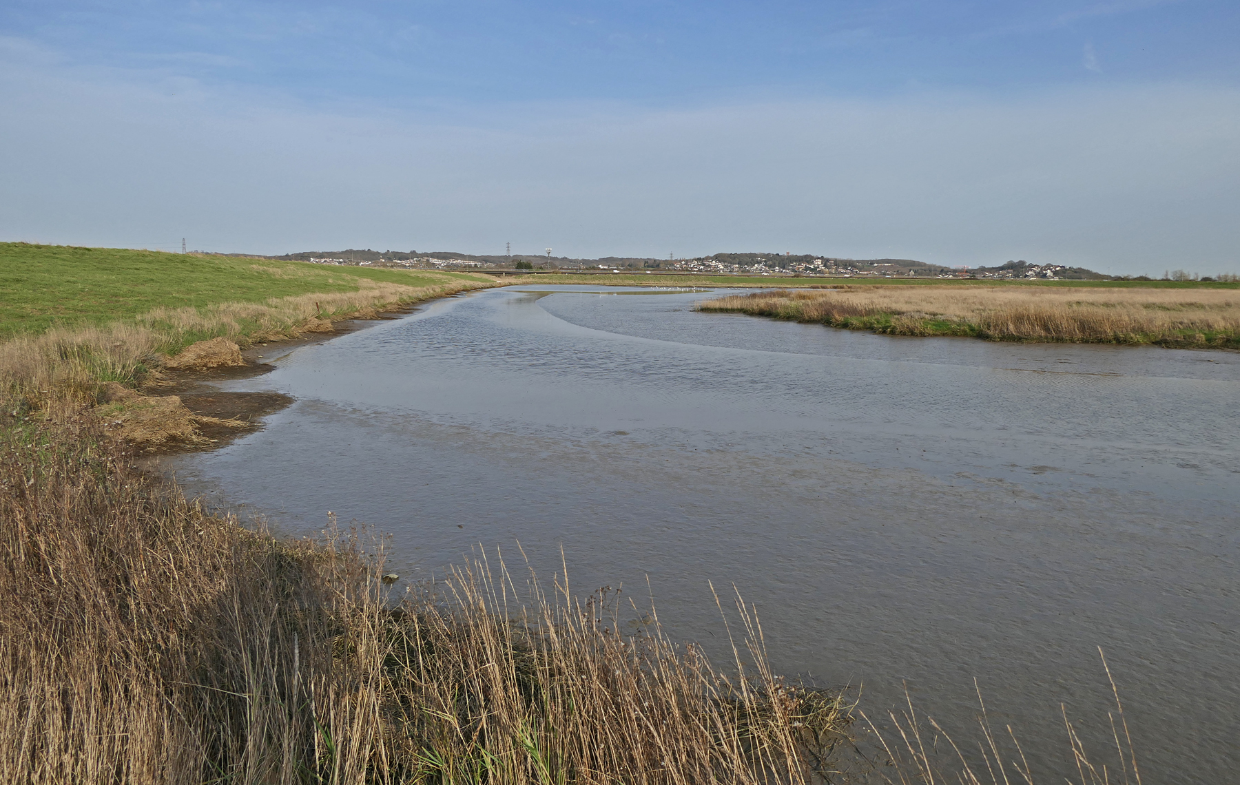 Bowers Marsh walk, February 2021 No. 8
