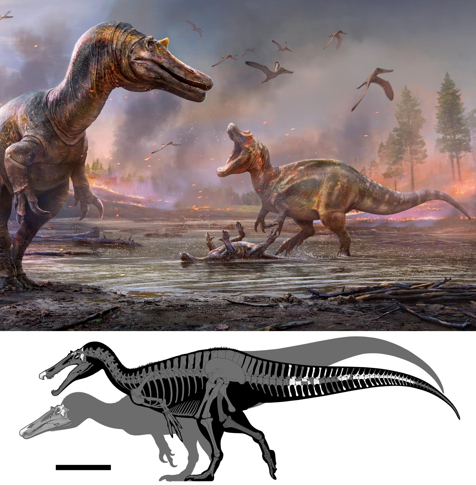 Species New to Science: [Paleontology • 2021] Ceratosuchops inferodios ...