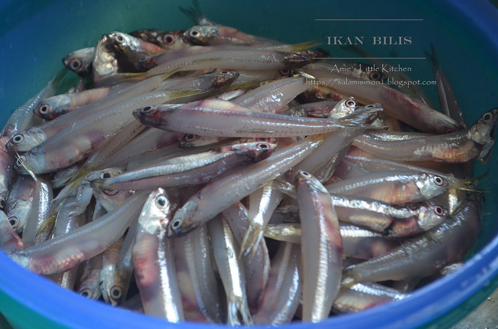 Makanan Tradisi Masyarakat Bajau : Putu & The Gang - Amie's Little Kitchen