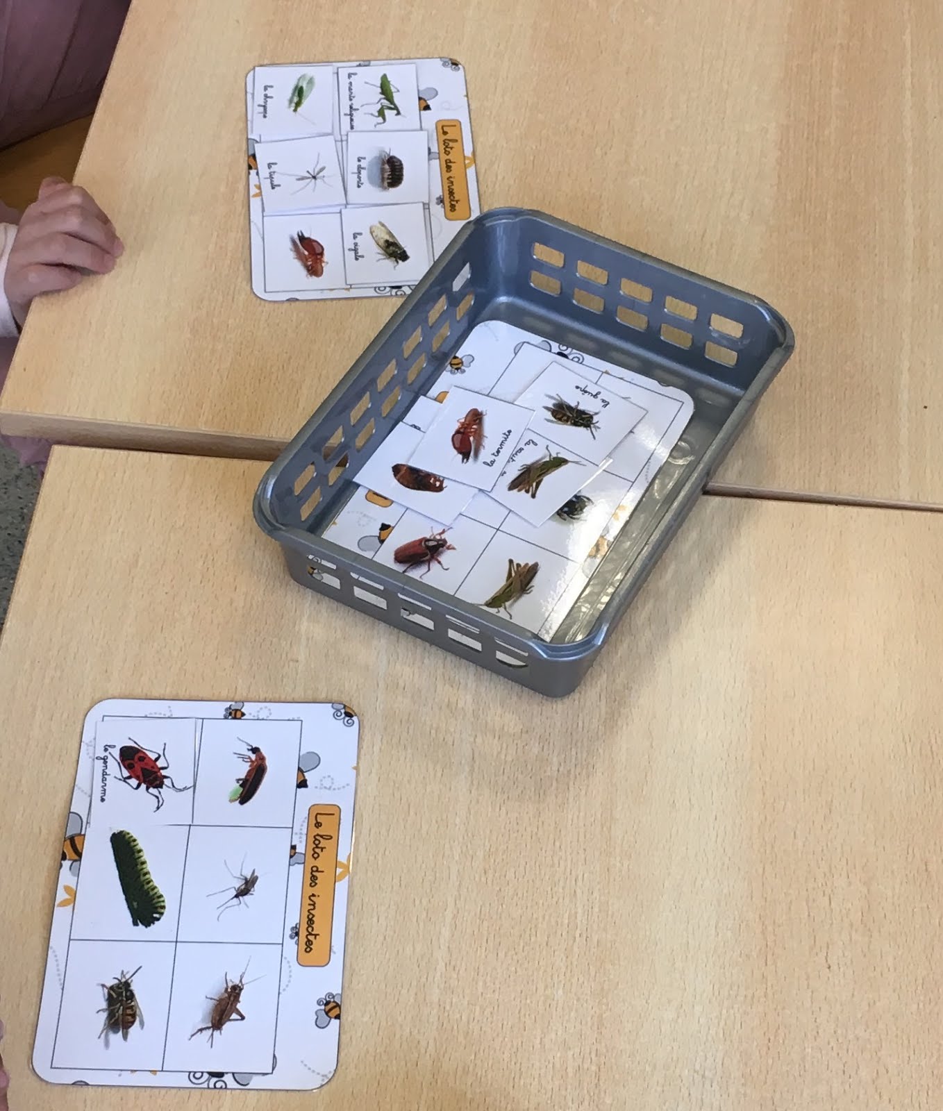 Les petits jeux de July: Les insectes