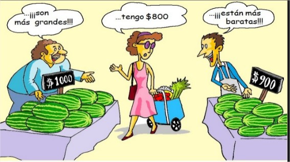 COMPETENCIA PERFECTA: Competencia Perfecta