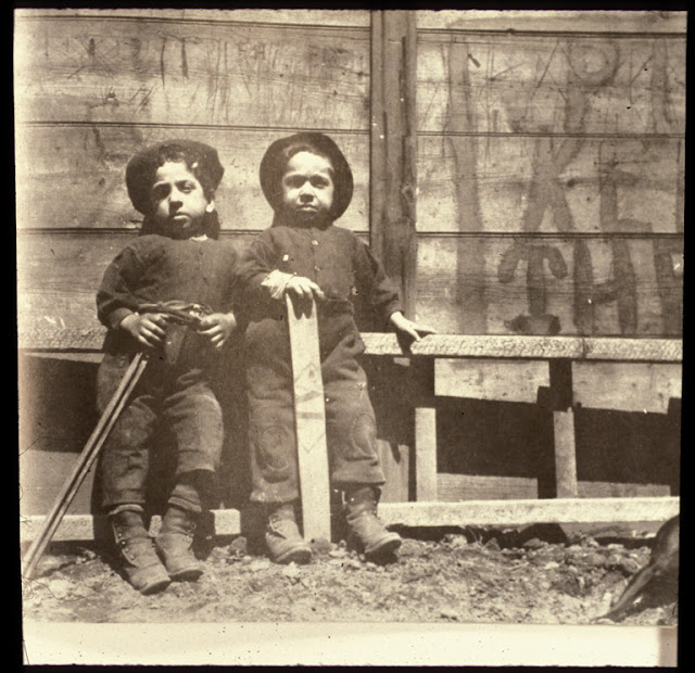 The Immigrant Experience in Fiction Film & Photography (Engl 3165/Am St ...