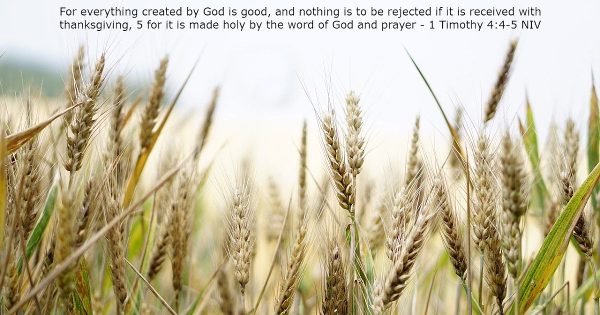 Verse of the day in English - 1 Timothy 4:4-5 NIV - Verseofthedaybible.com