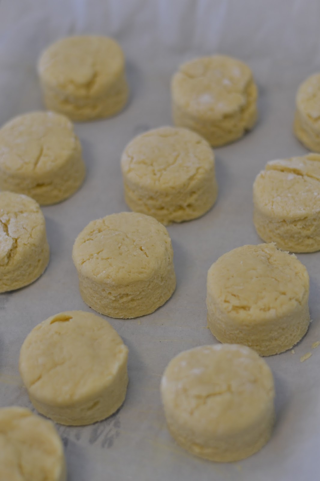 Scons clásicos (nueva receta)