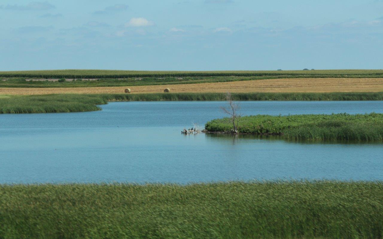 Sarah Lynn's Nature's Splendor: Photos: from Tulare, South Dakota, to ...