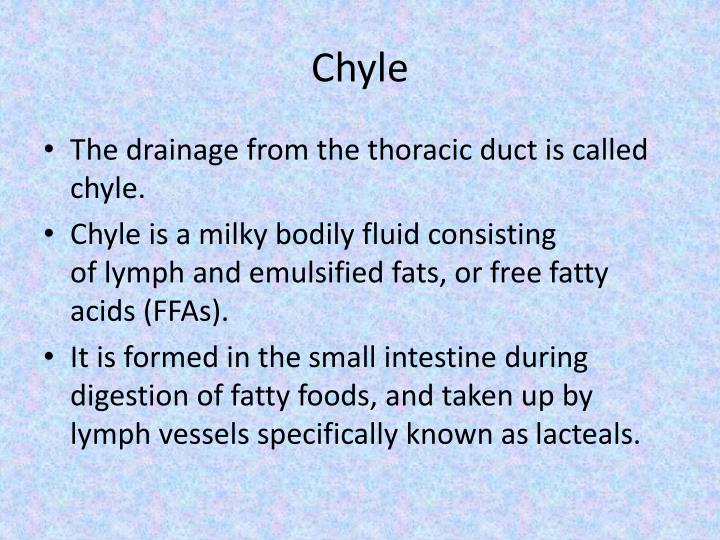 EXAMS AND ME : Chyle