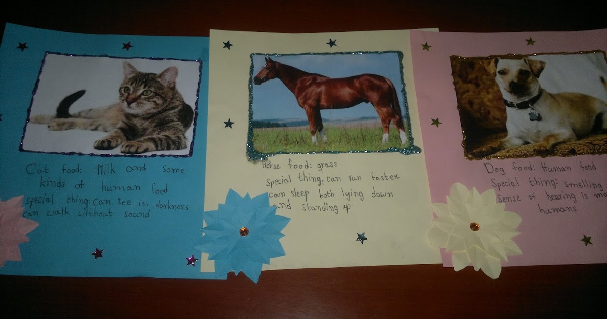 Basic Scrap Book Making for Kids | Lokya Crafts