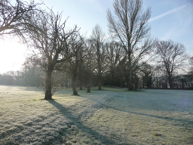 West Watford History Group: Brightwells Farm