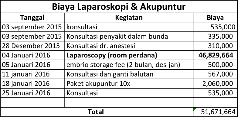Berhasilnya penantian panjang melalui program bayi tabung (IVF)