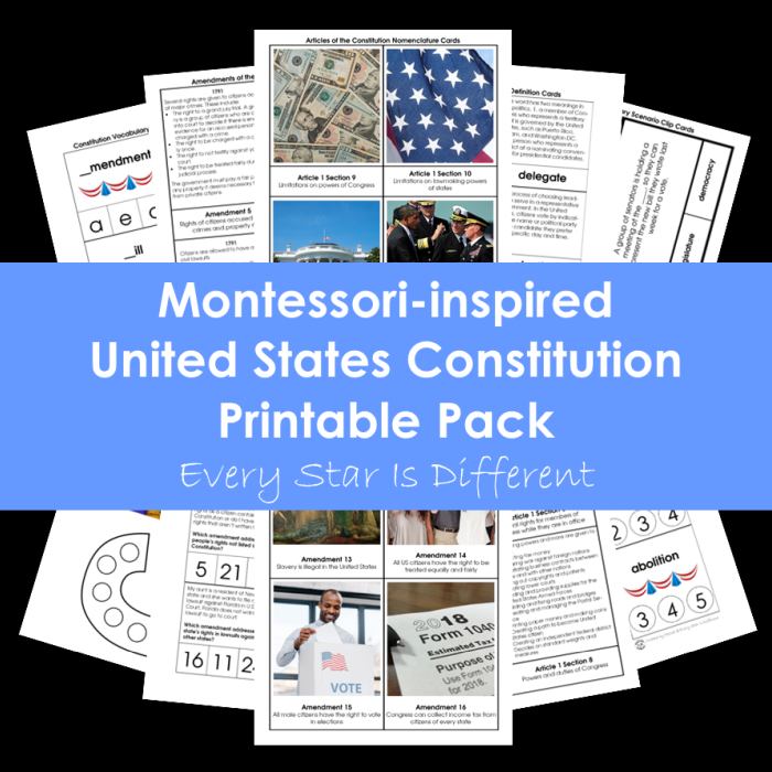 Every Star Is Different: United States Government & Consitution Bundle