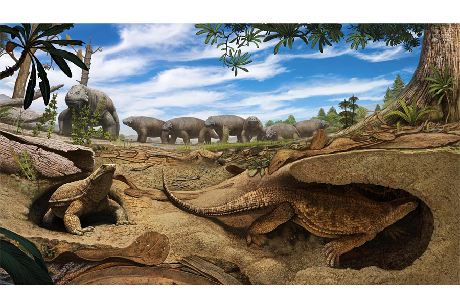 Waxing Paleontological: An Update on Stem Turtles