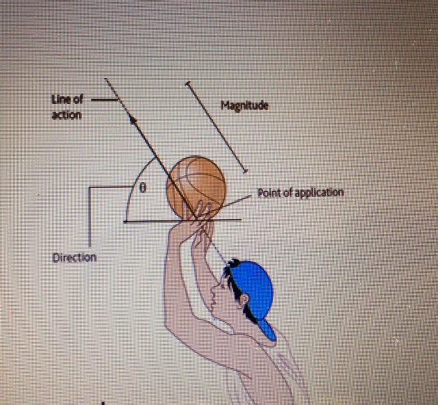 What Biomechanical Factors can improve a Netball Goal Shooter’s ...