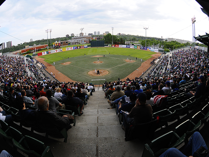 Divulge with Dani: Friday's Top Five - Baseball Themed ANYTHING