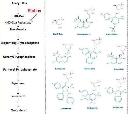 Educacion Diabetologica