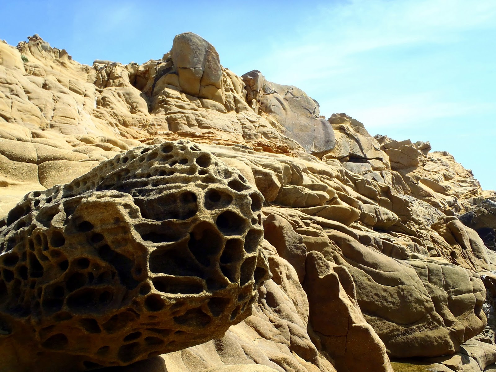 Can't Slow Down: Adventure at Salt Point State Park, CA
