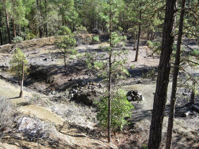 Hiking Sasquatch Country: 13 Gin Lin Mining Trail