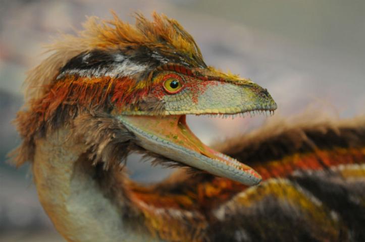 CONSTRUINDO HISTÓRIA HOJE: Pampadromaeus, com penas dinossauro ...