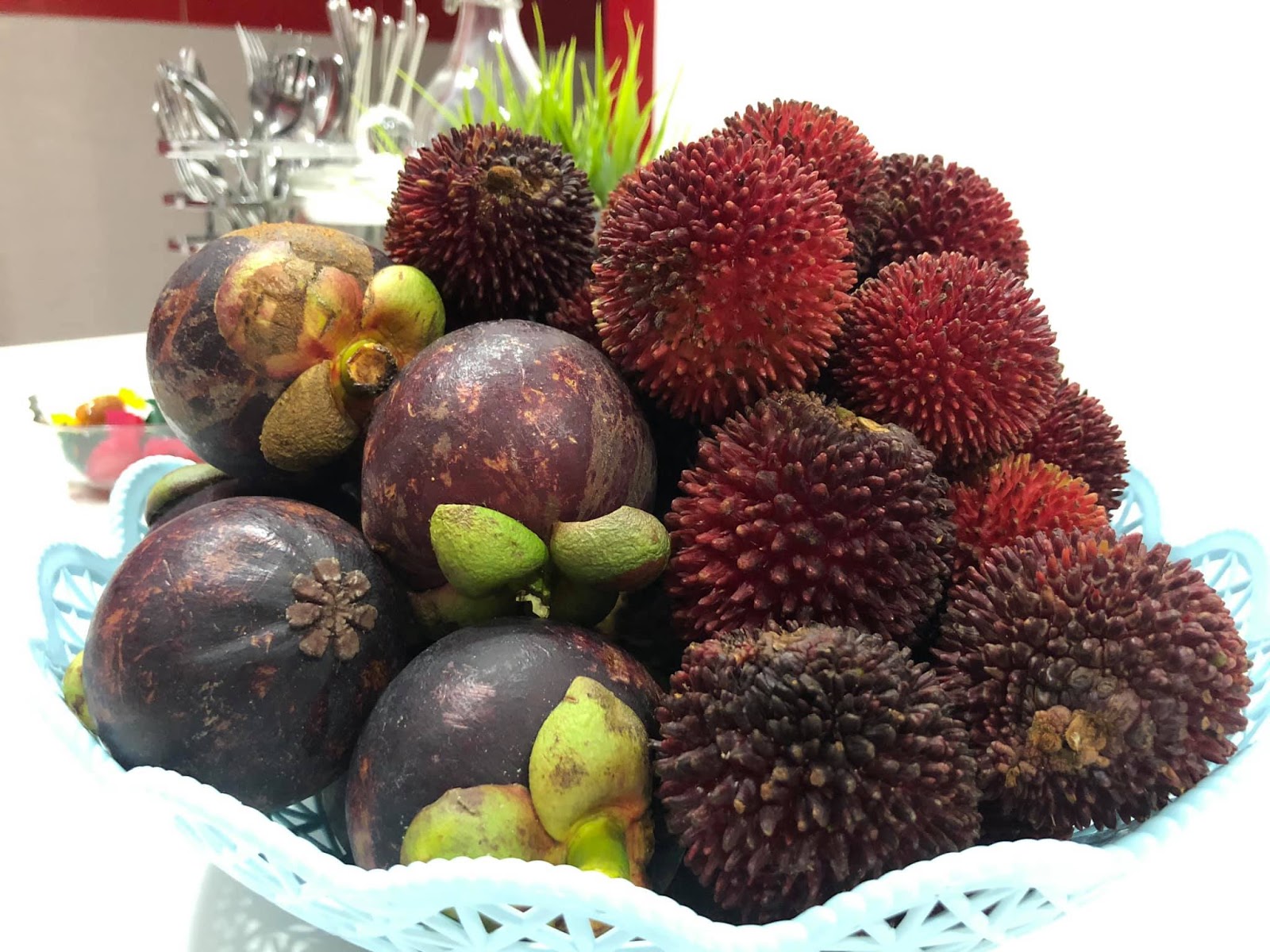 MACAM MANGGIS TAPI BUKAN MANGGIS. YANG INI NAMANYA MESTA