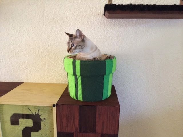 I am Mania: Geek Home #6- Mario Cat Complex