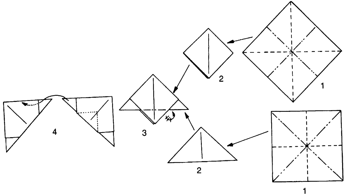 Scientific Channel: Proyecto Origami