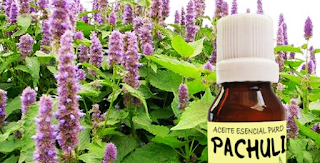 Lo bueno de un perfume con Pachuli - Magic Perfume