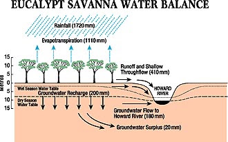 Savanna Biome: Day 6 Water Cycle in the Australian Savanna